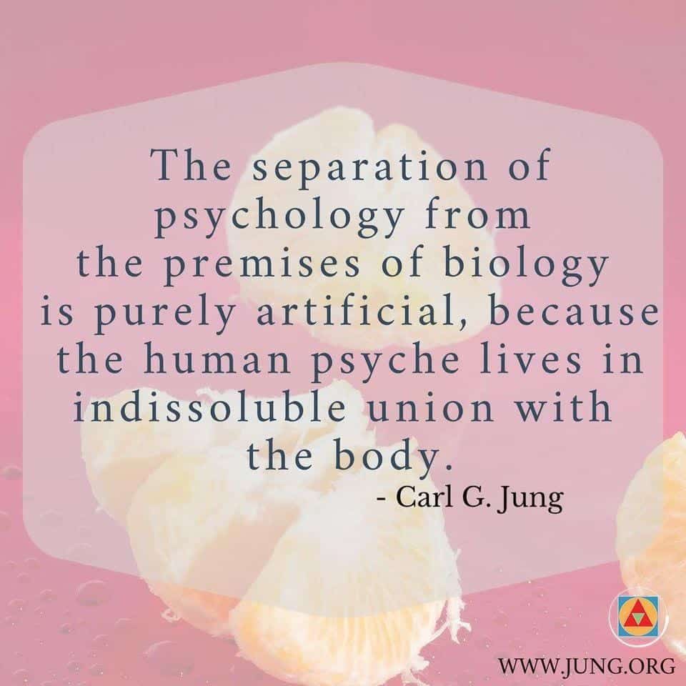 ...the Human Psyche Lives In Indissoluble Union With The Body.