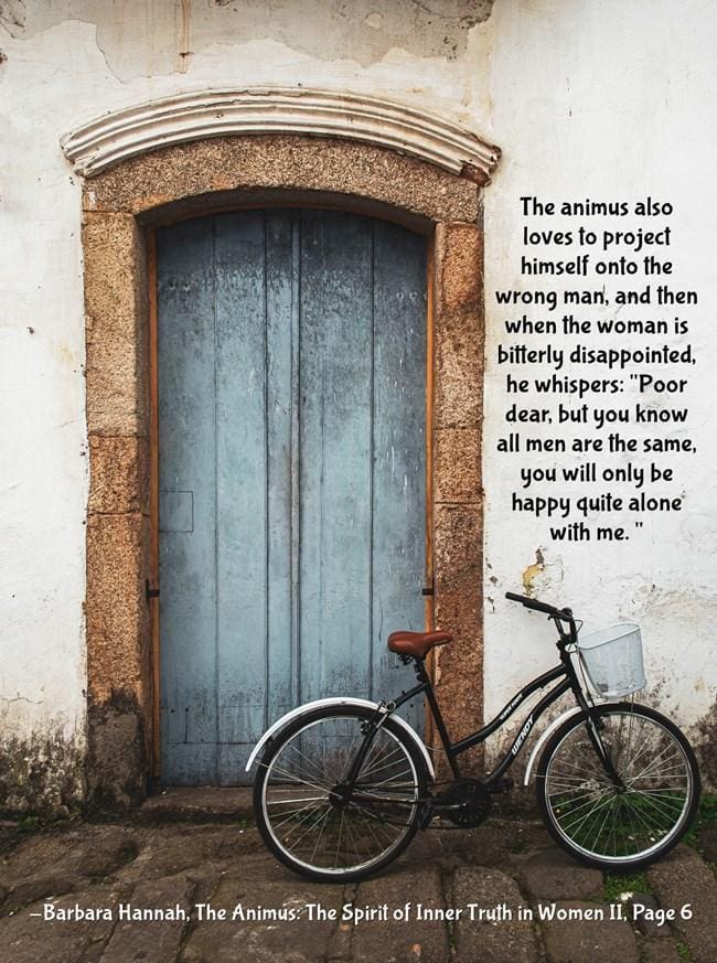 Animus | When Discussing The Animus, The Same Prerequisites Apply As ...