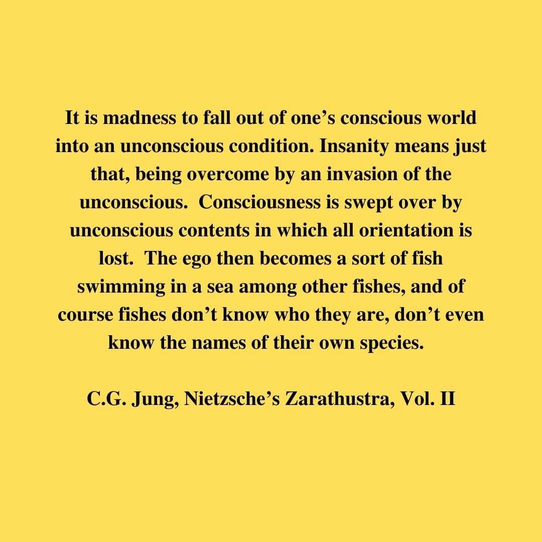 Madness | 1. Carl Jung on “Madness” – Anthology