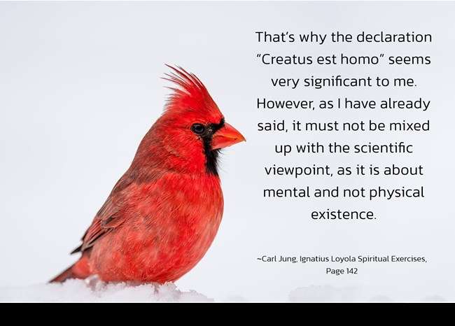 Science | 1. Carl Jung on Science – Anthology – Quotations