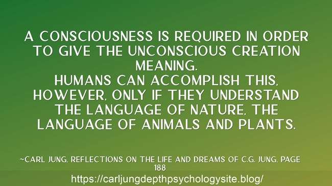 Definition Of The Anima.