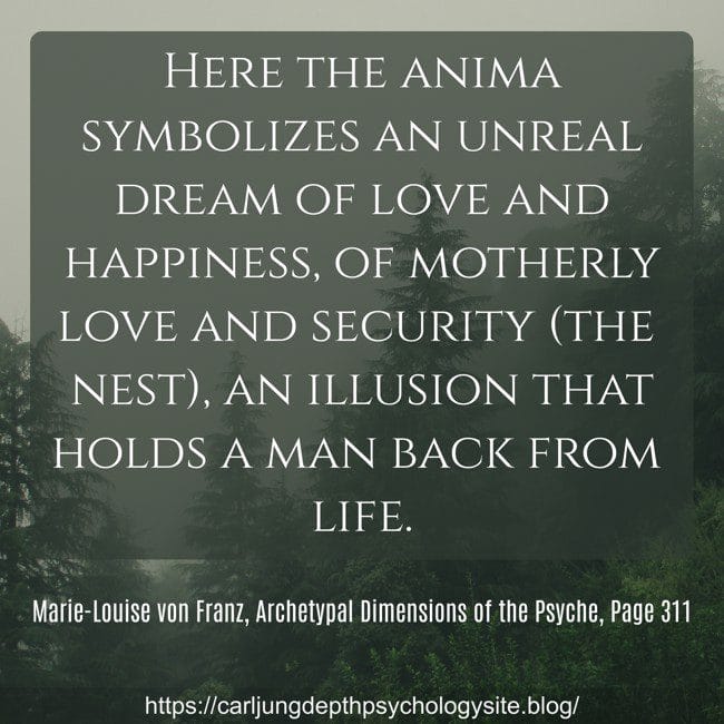 anima | The Anima as the Woman within the Man